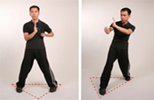 Wing Chun Stance Structure